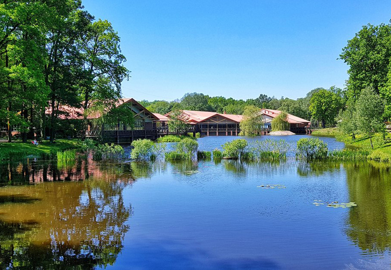 SNG - Perform Brand Design